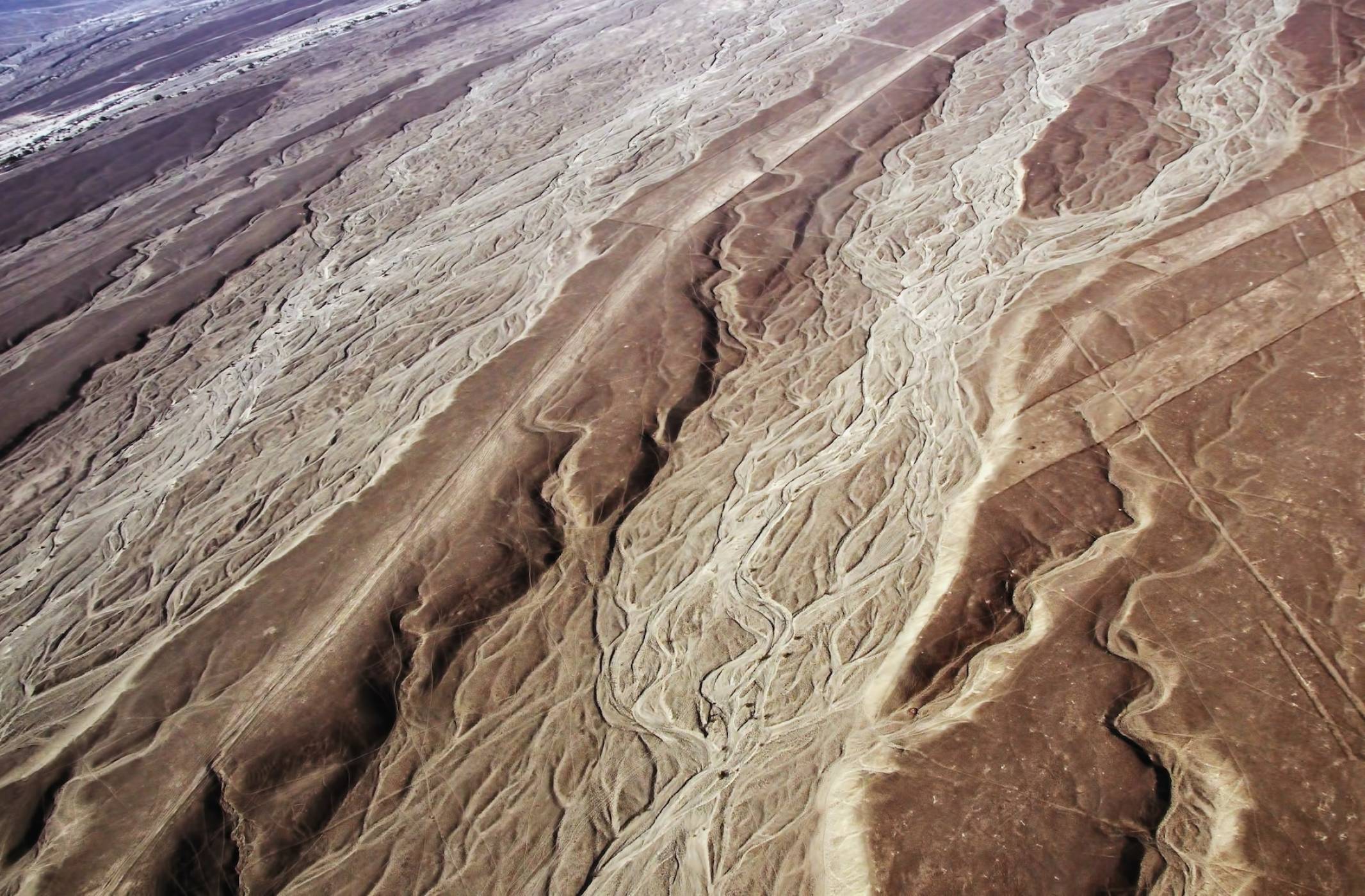 AI идентифицира още 3 фигури от линиите Наска в Перу